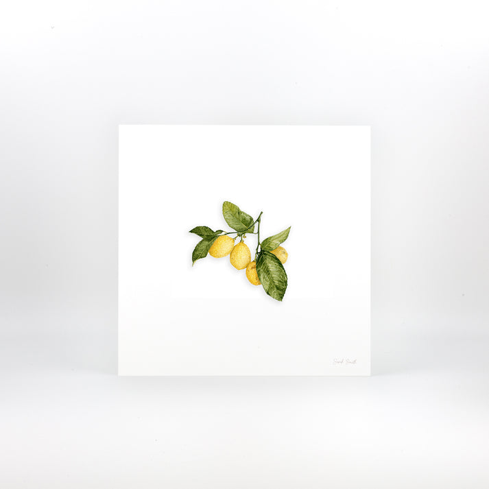 Lemons – Sarah Smith Artist