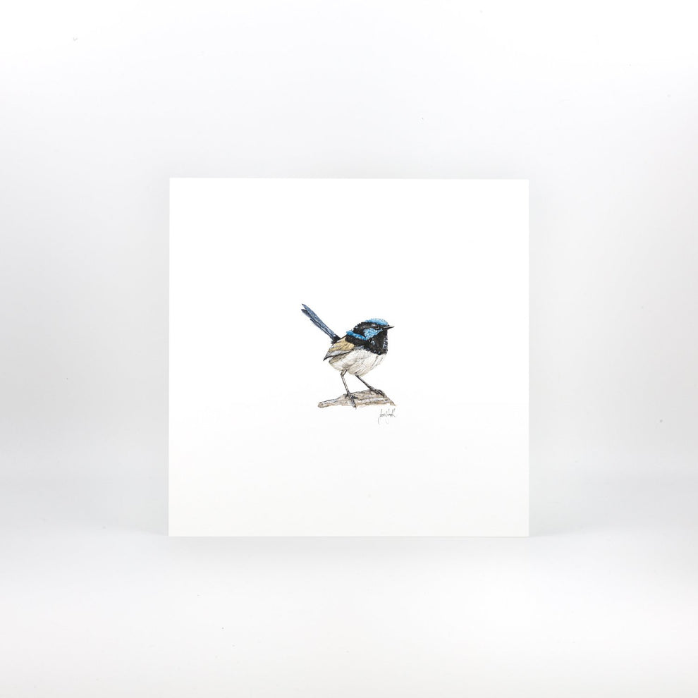 Fairy Wren – Sarah Smith Artist