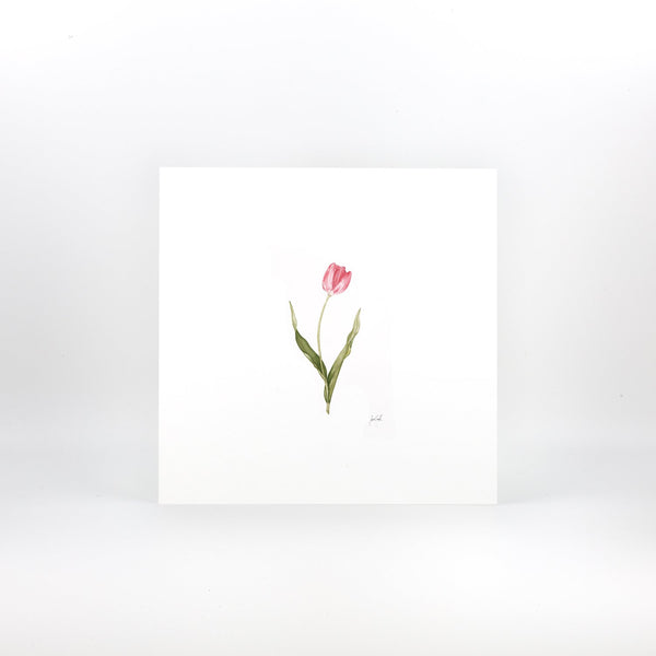 Pink Tulip – Sarah Smith Artist