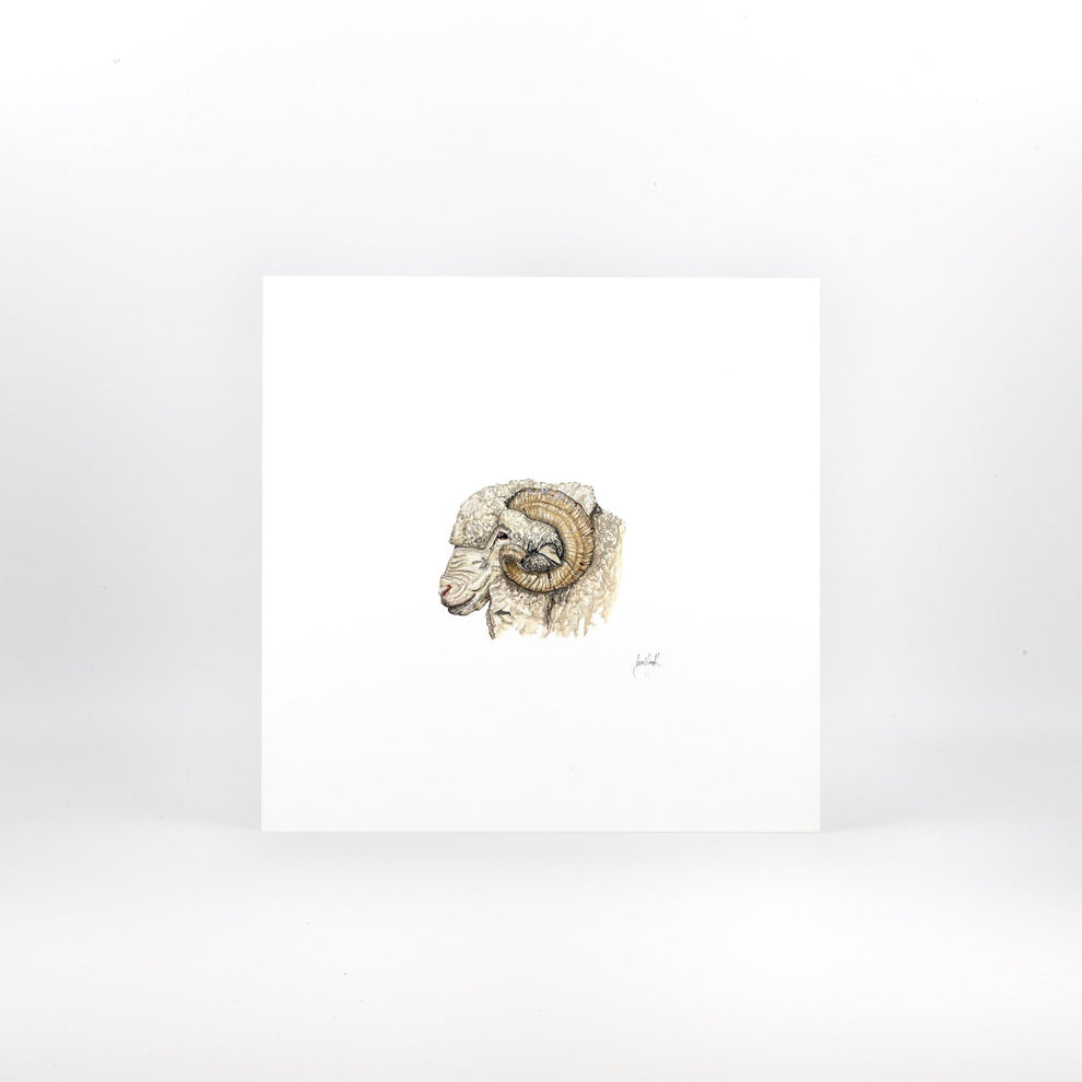 Merino – Sarah Smith Artist